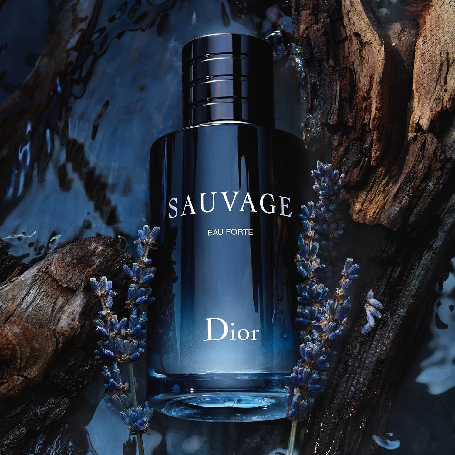 Sauvage Eau Forte - Perfume sem álcool, notas frescas e intensas Dior ≡ ...